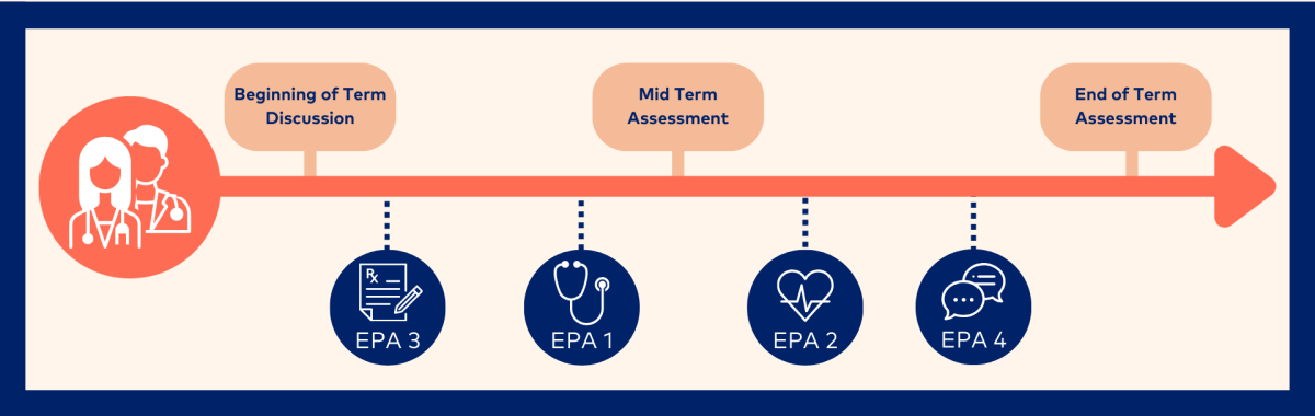 Term Discussions and Assessments – PMCV